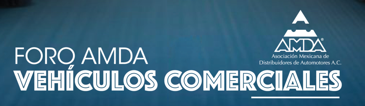 INTRODUCCIÓN 2021 – AMDA
