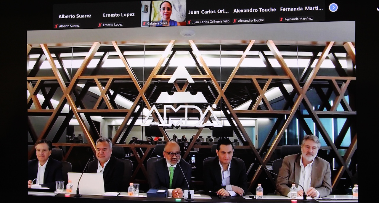 Falta de contrapesos genera inquietud – AMDA