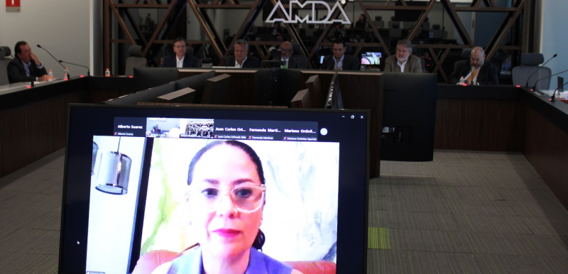 JUNTAS DE CONSEJO 2024 – AMDA