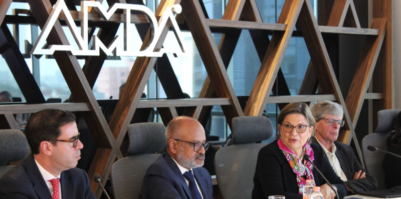 JUNTAS DE CONSEJO 2025 – AMDA