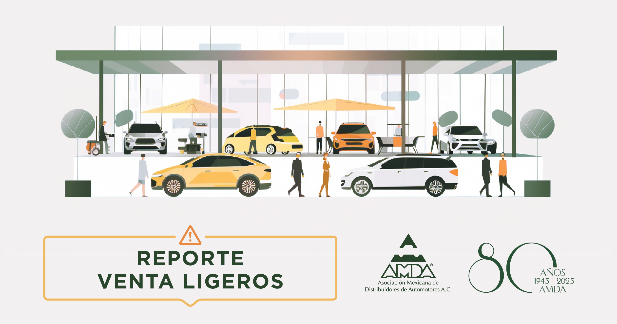 VENTAS VEHÍCULOS LIGEROS, ENERO 2025 – AMDA